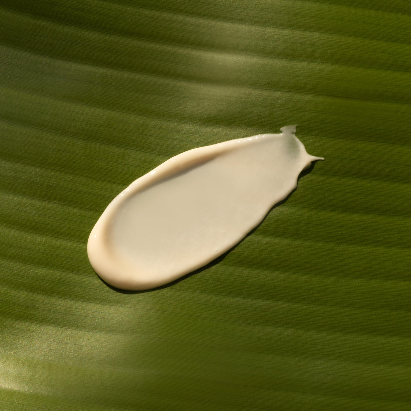 Banana Sap Based Skincare | Tano Skincare